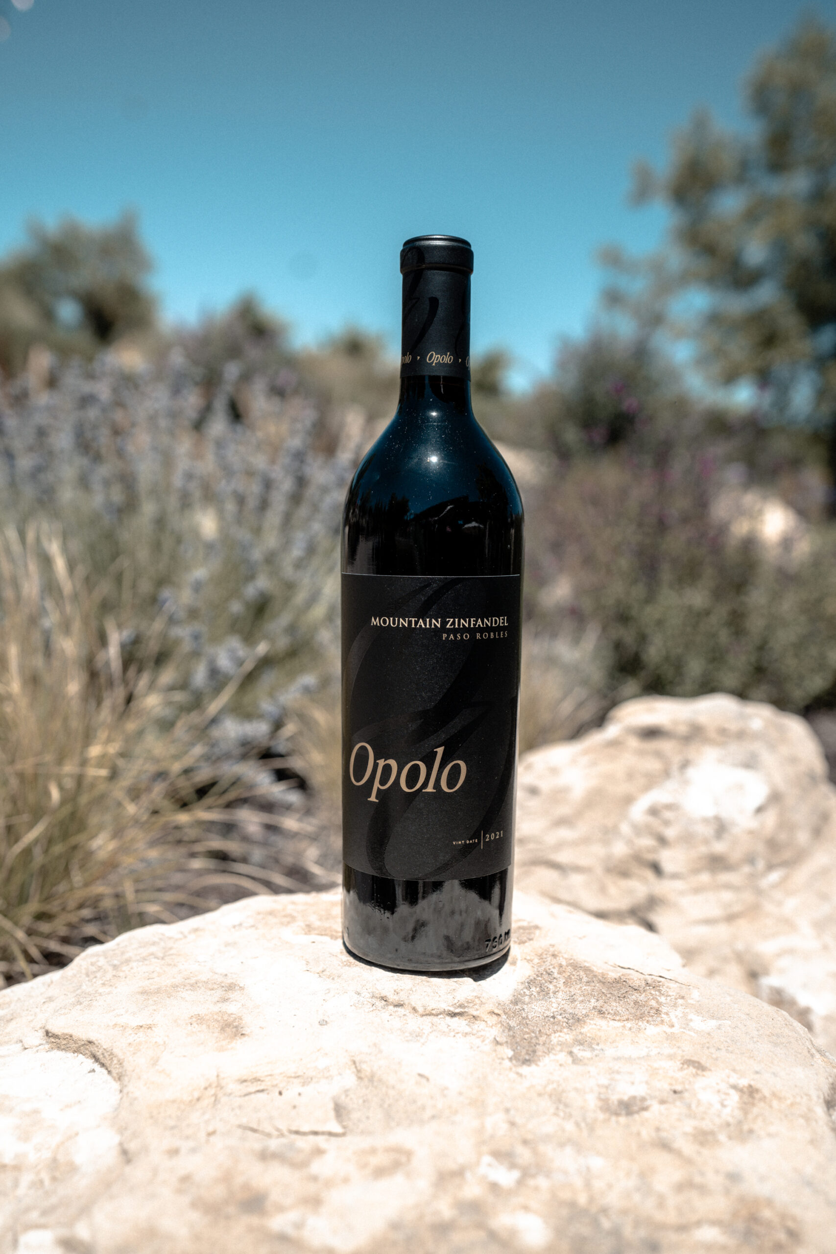 Mountain Zinfandel Scores Again! - Opolo Vineyards