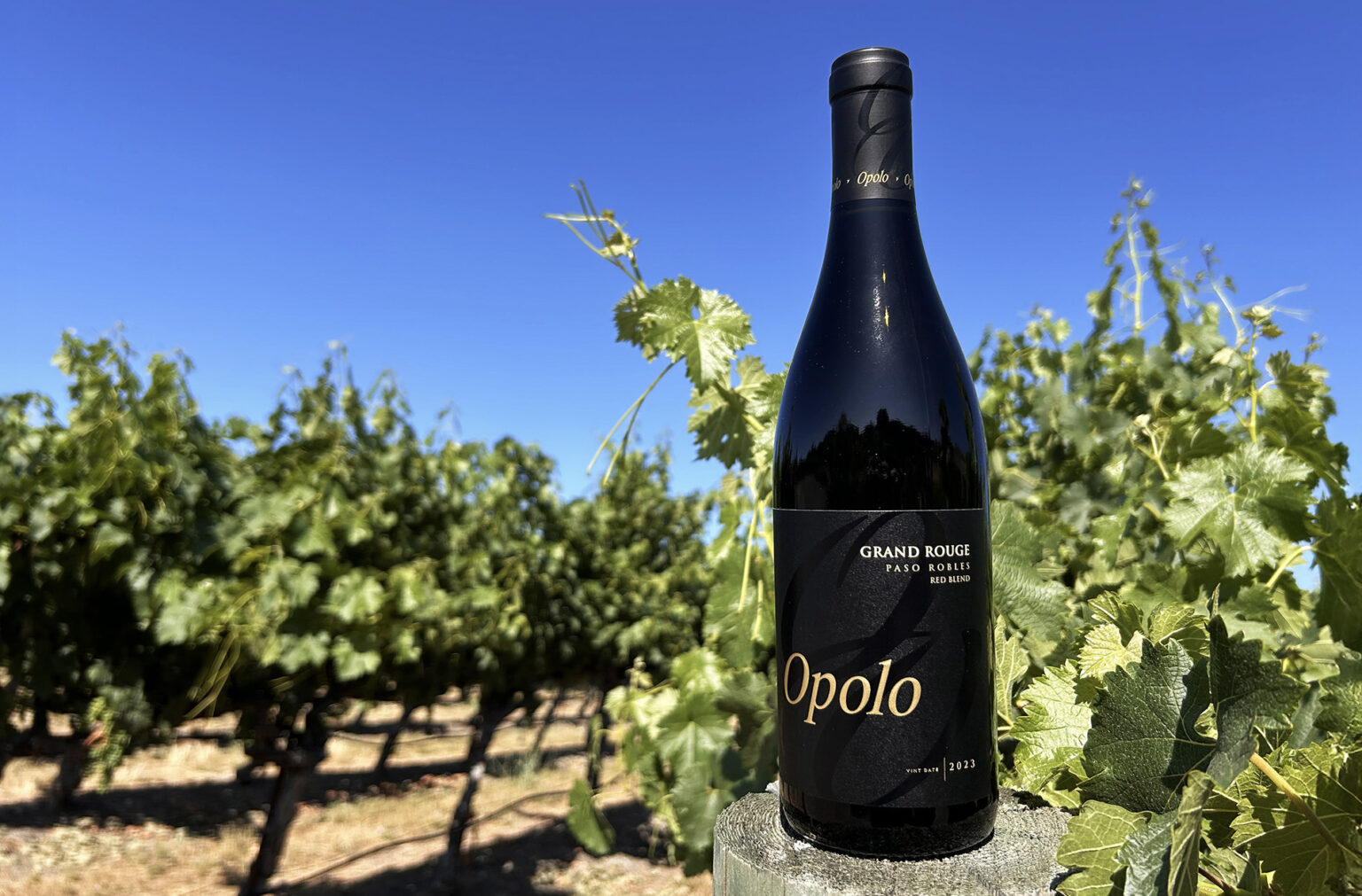 Hometown Hero: 2023 Grand Rouge Wines “BEST RED” Award - Opolo Vineyards